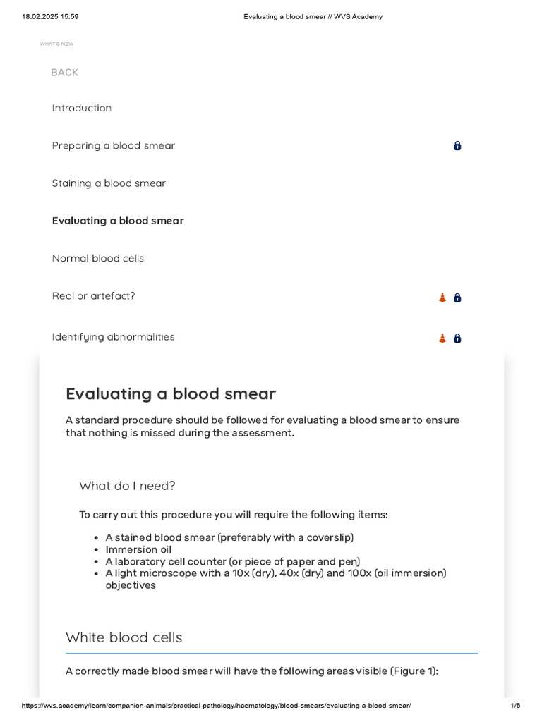 Evaluating A Blood Smear - WVS Academy | PDF | White Blood Cell | Anatomy