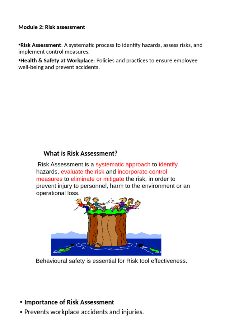 Risk Assessment | PDF