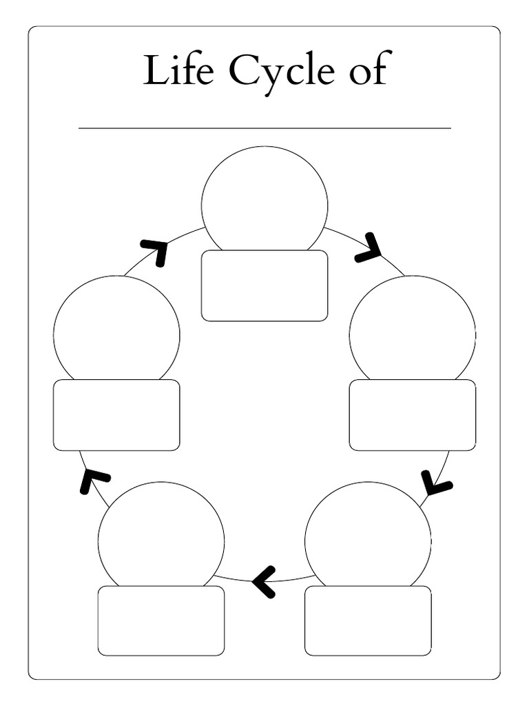 Blank Life Cycle Template PDF | PDF