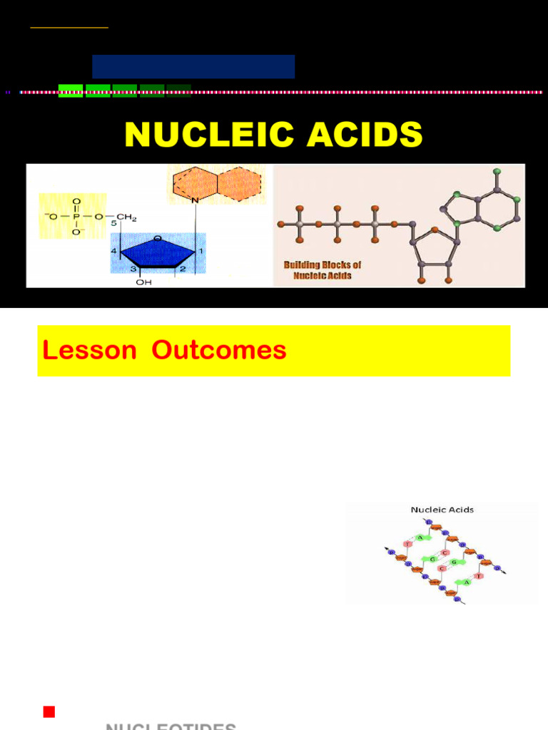 BIOCHEM - 005 Nucleic Acids | PDF | Nucleic Acids | Nucleotides