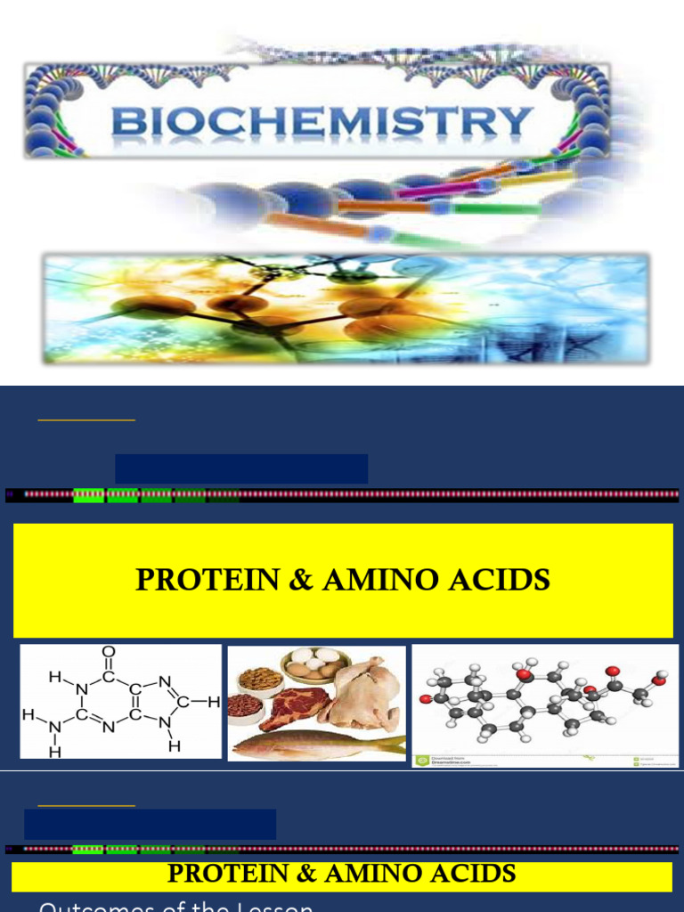 BIOCHEM - 004 Protein | PDF | Amino Acid | Proteins