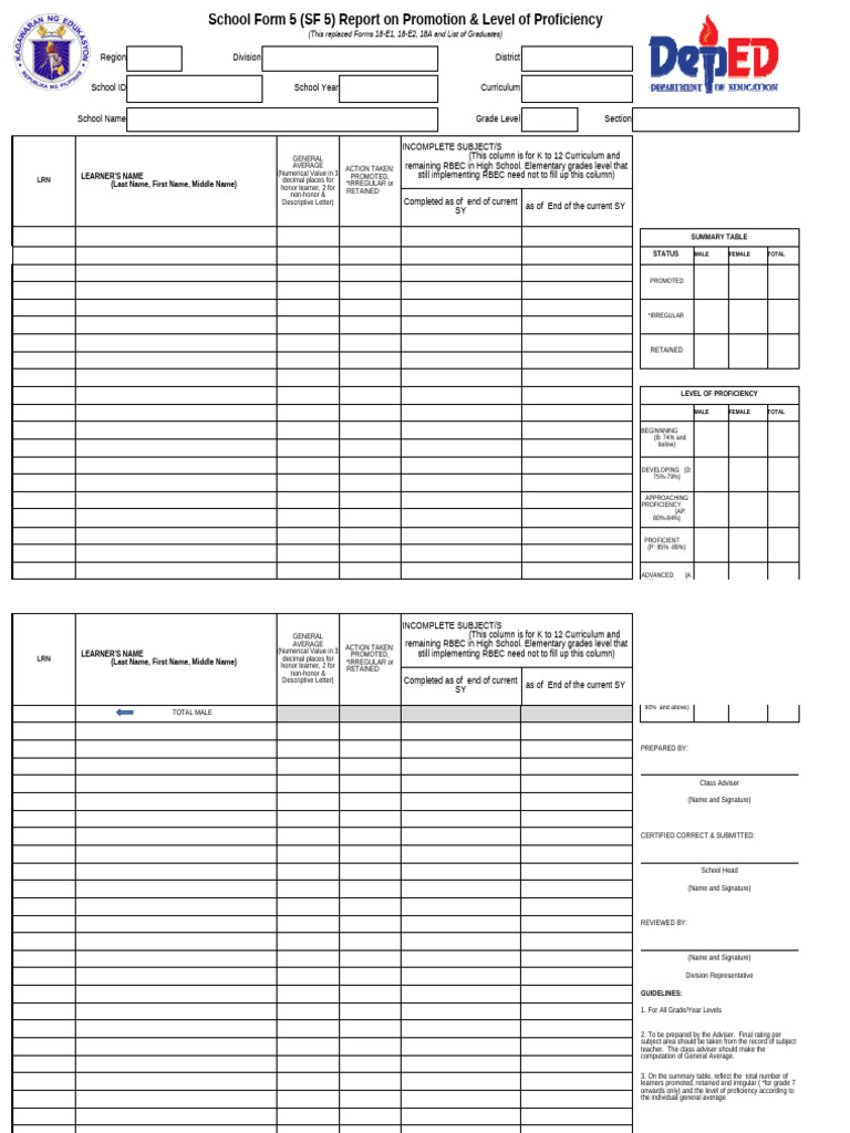 School Form 5 Promotion Report | PDF