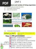 Biodiversity and Classification Grade 10 | PDF