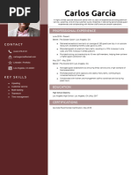Brian's Resume | PDF