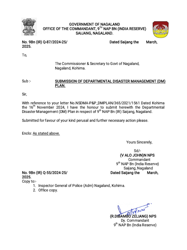 Q-87 Submission of DM Plan | PDF | Emergency Management | Emergency