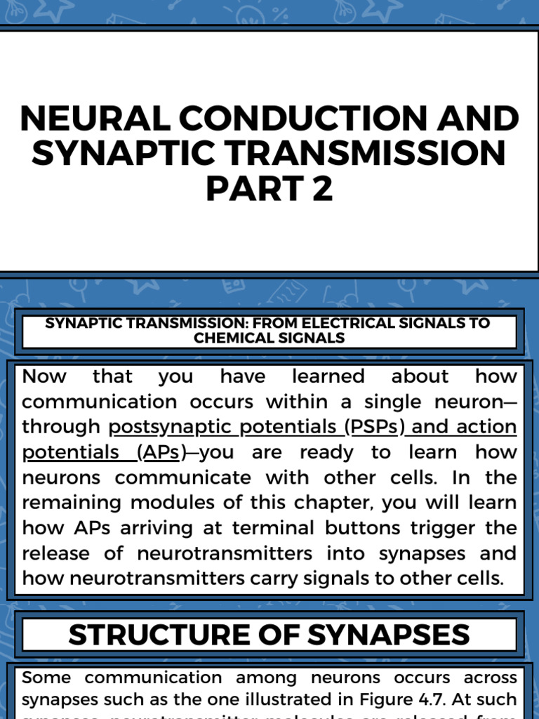 Synaptic Transmission Mechanisms Explained | PDF | Chemical Synapse ...