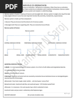 01 - Human Brain - Labeling Diagrams - Parts & Functions - Fill in The ...