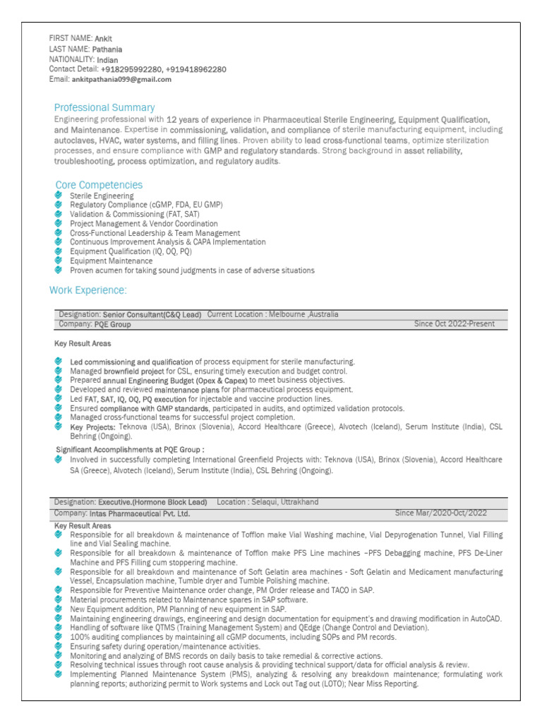 CV Ankit 12years Engineering | PDF