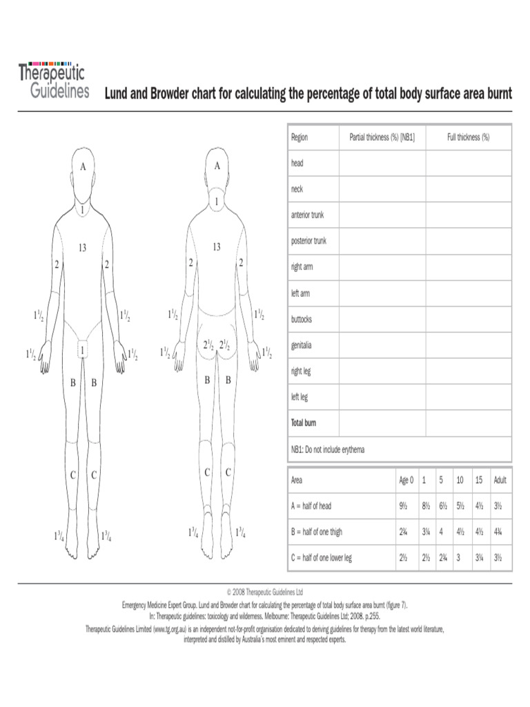 Lund and Browder Chart Burn | PDF | Limbs (Anatomy) | Musculoskeletal ...