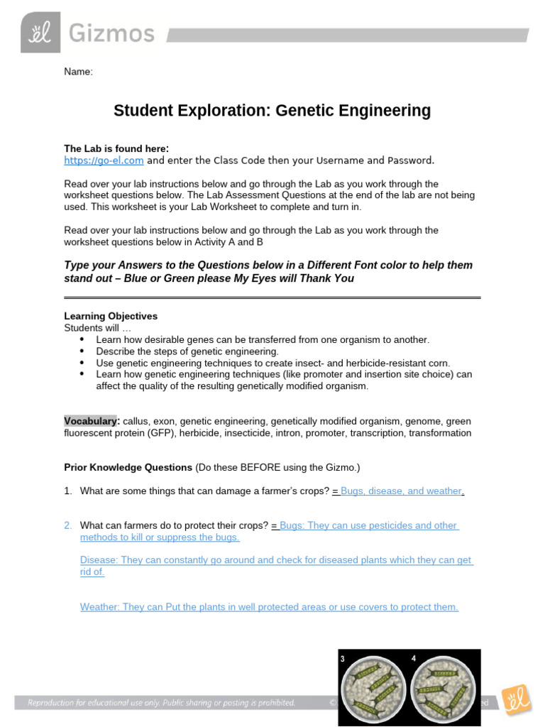 Genetic Engineering Lab for Students | PDF | Gene | Genetic Engineering