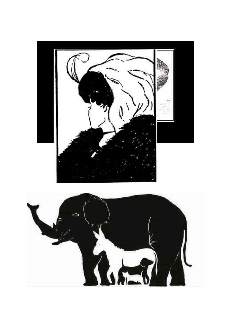 Ilusions Optiques | PDF