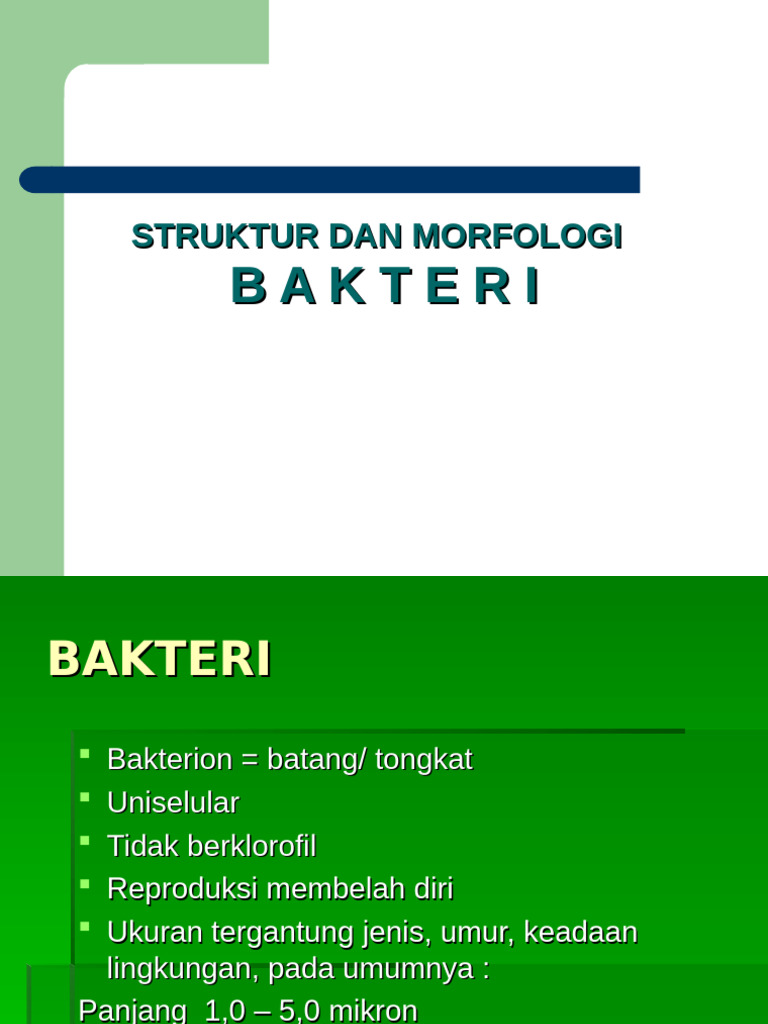 2.MORFOLOGI DAN STRUKTUR BAKTERI | PDF