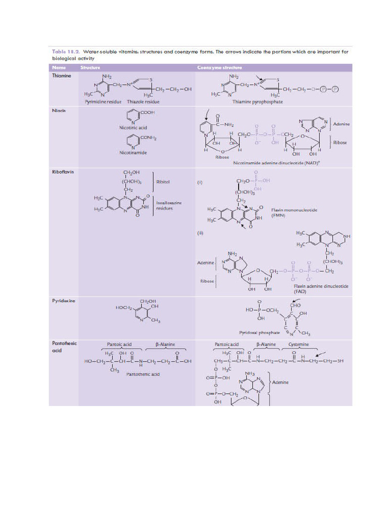 Vitamin Structures | PDF