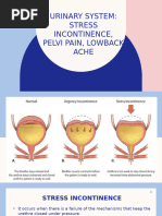 Cozean Pelvic Dysfunction Screening Tool | PDF | Self-Improvement ...