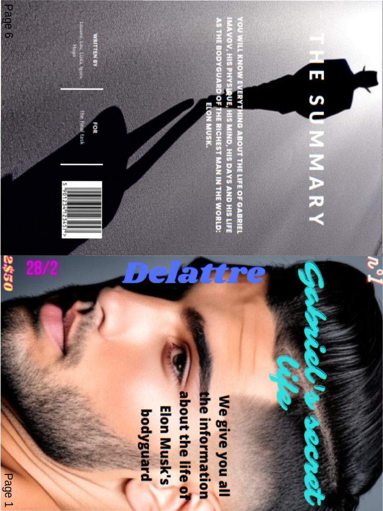 Journal Tache Final | PDF