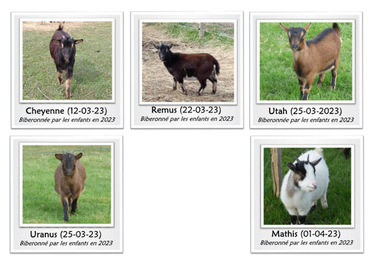 Panneau Cheyenne-Remus-Mathis-Uranus-Utah | PDF