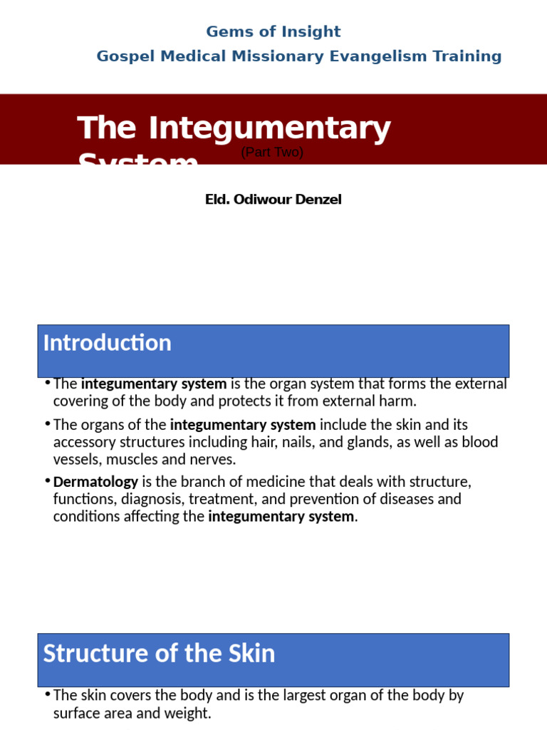 Integumentary System Part II | PDF | Skin | Epidermis