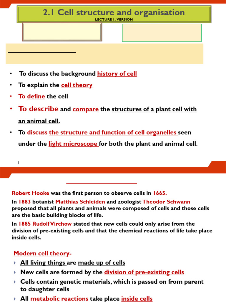 Lecture-ORGANISATION OF THE ORGANISM | PDF | Endoplasmic Reticulum | Cell (Biology)