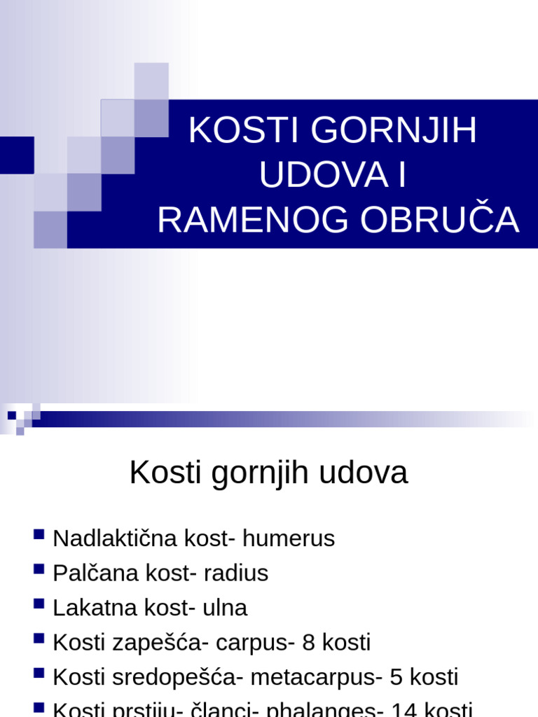 5 Kosti Gornjih Udova | PDF