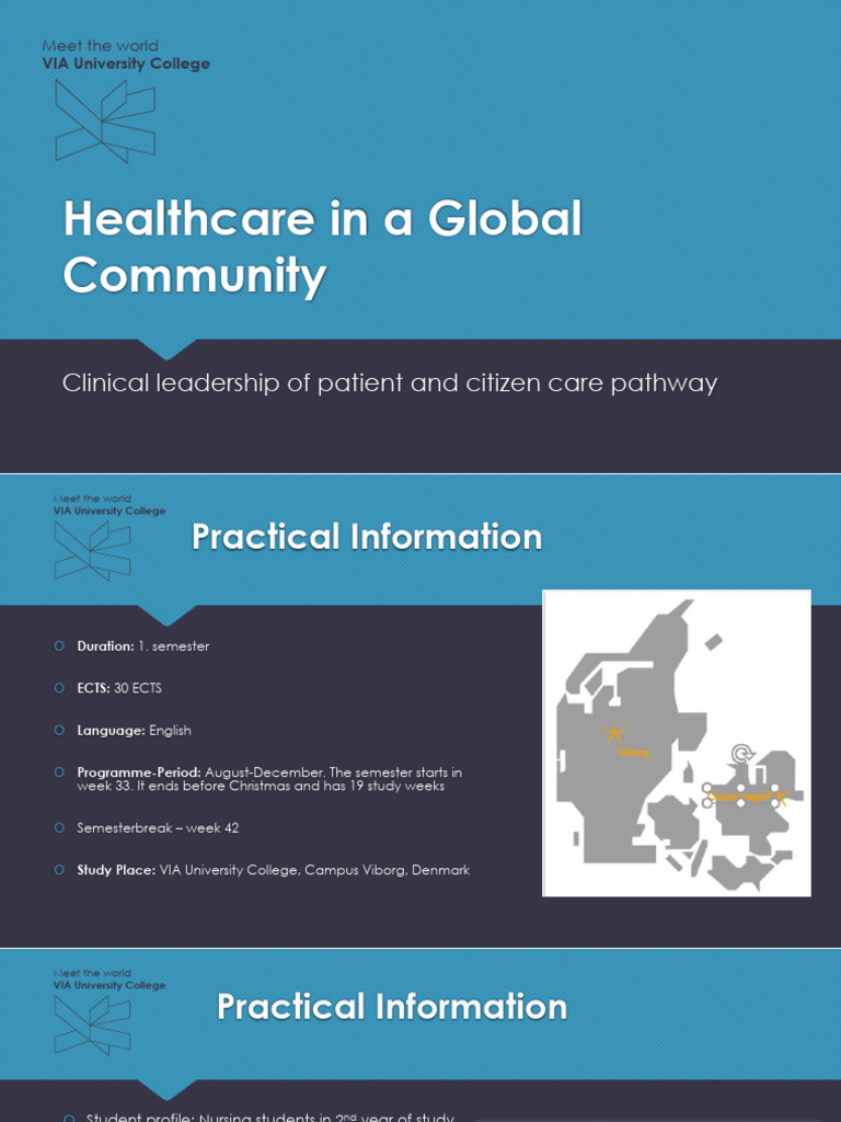 Global Healthcare Leadership Program | PDF | Nursing | Health Care