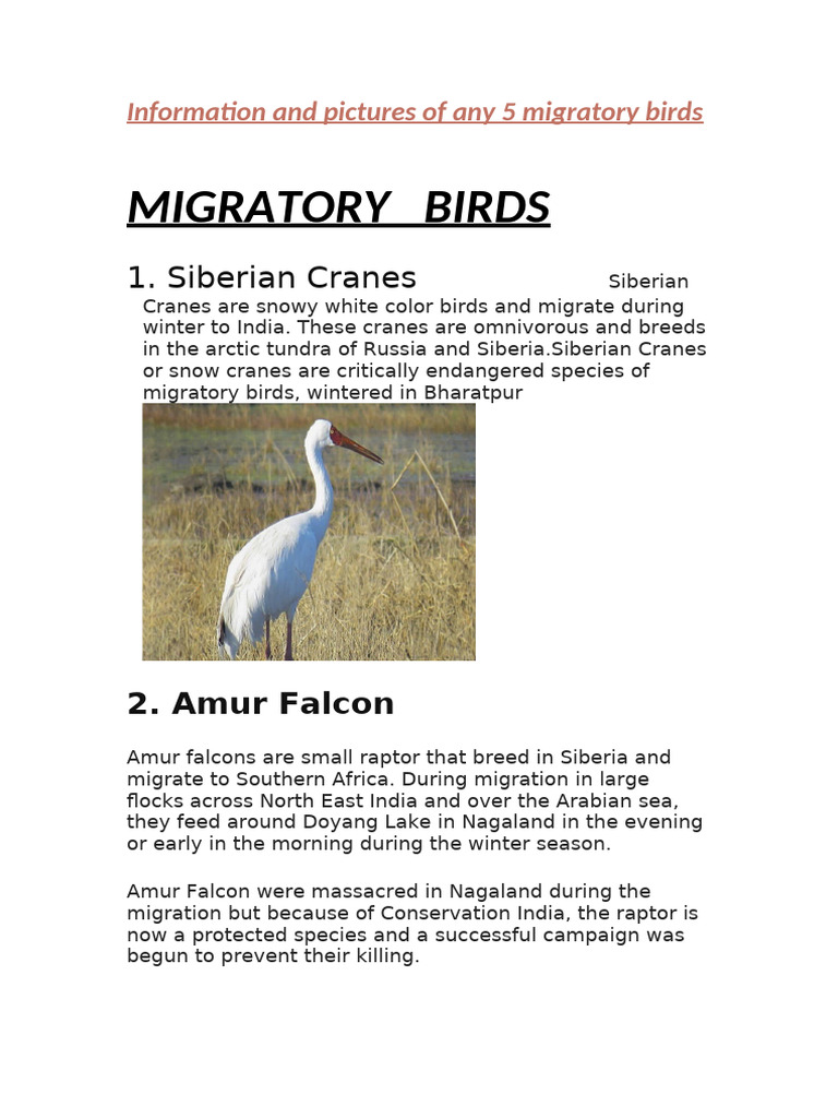 Information and Pictures of Any 5 Migratory Birds | PDF