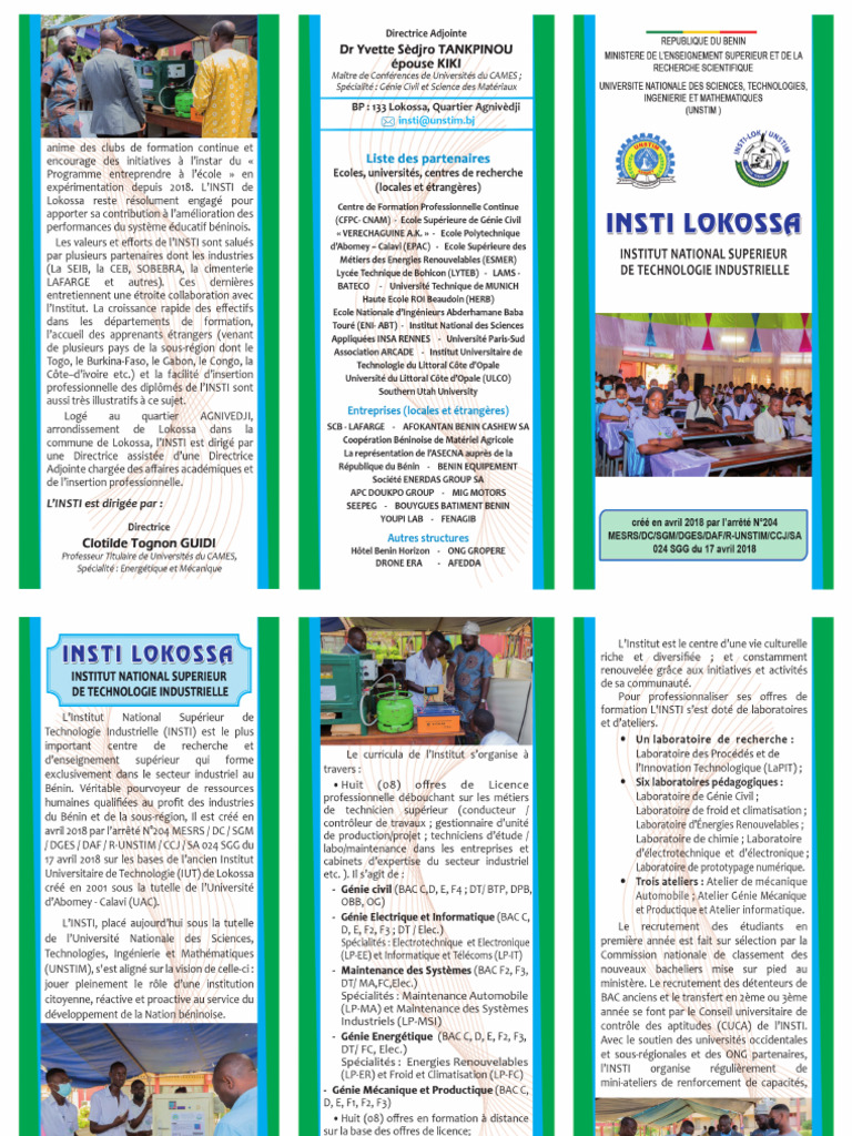 Brochure INSTI-LOK | PDF