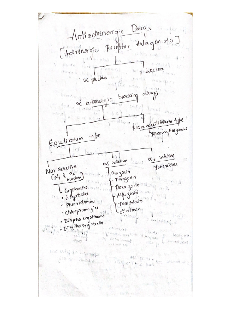 Ans 2 Pdf