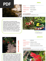 Bingo de Plantas Fotos | PDF
