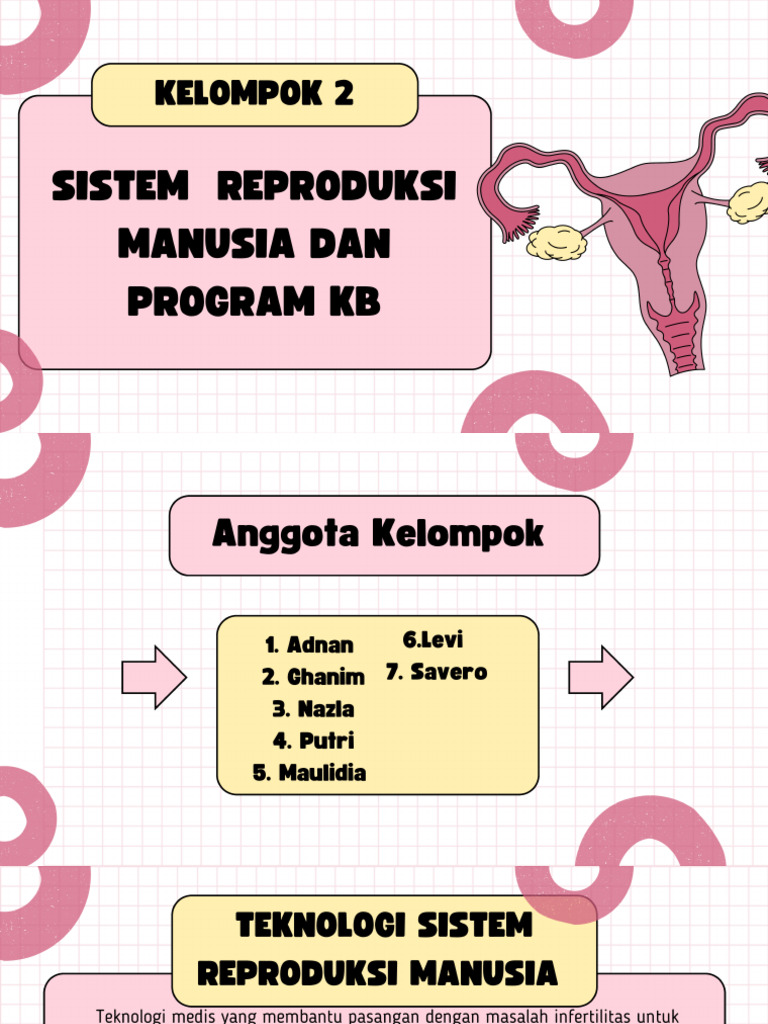 Salinan Dari Female Reproductive System Biology Presentation in A Pink ...