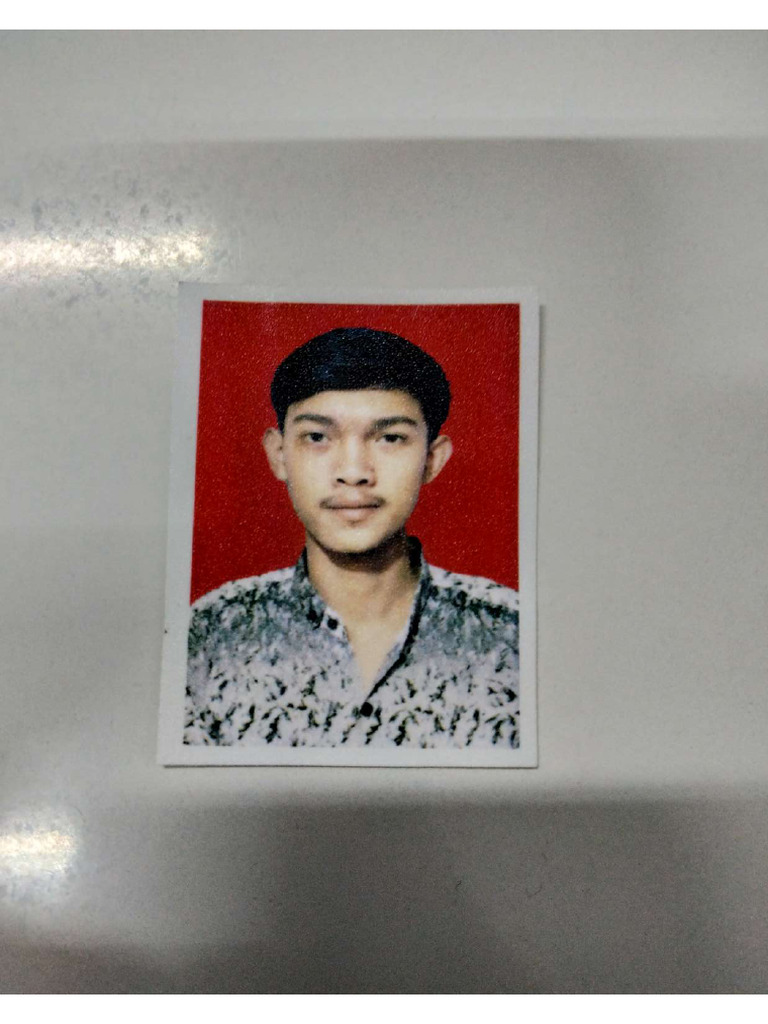 Pas Foto | PDF