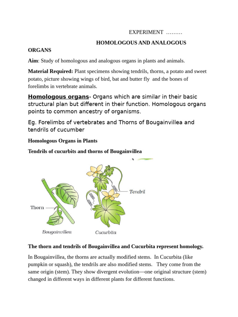 Homologous and Analogous | PDF | Homology (Biology) | Cucurbita