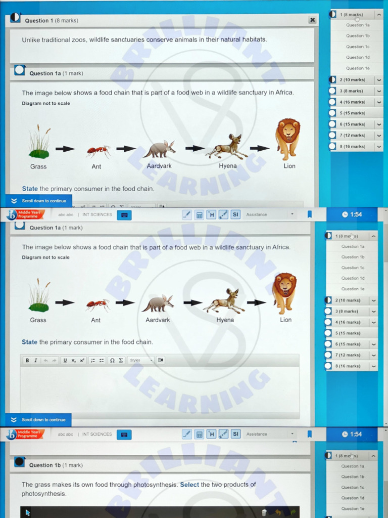 m23 Integrated Science Myp | PDF