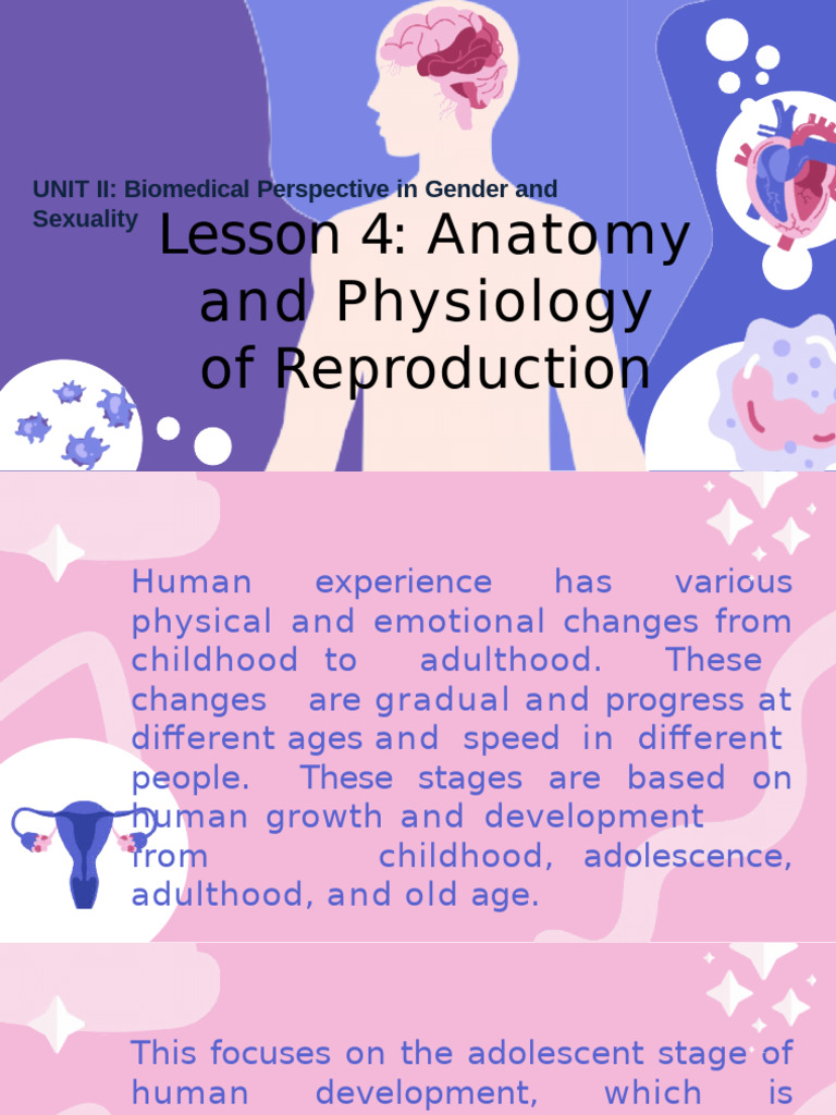 Lesson 4 - Anatomy and Physiology of Reproduction-1 | PDF | Menstrual ...