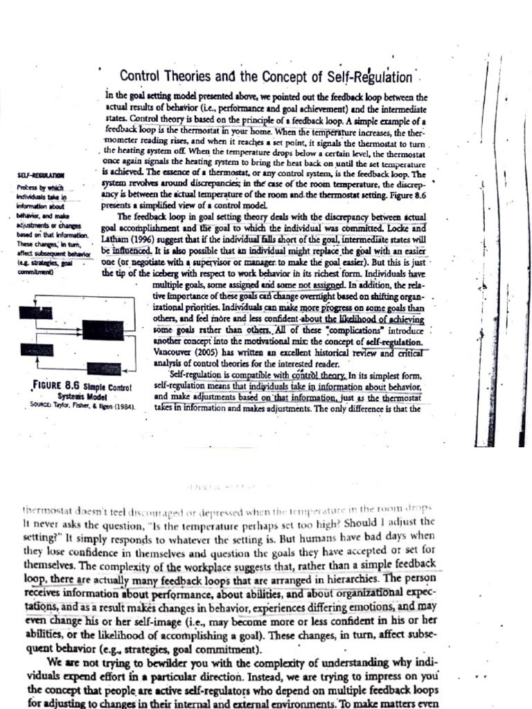 Control Theories - Org Psychology | PDF | Self Efficacy | Intention