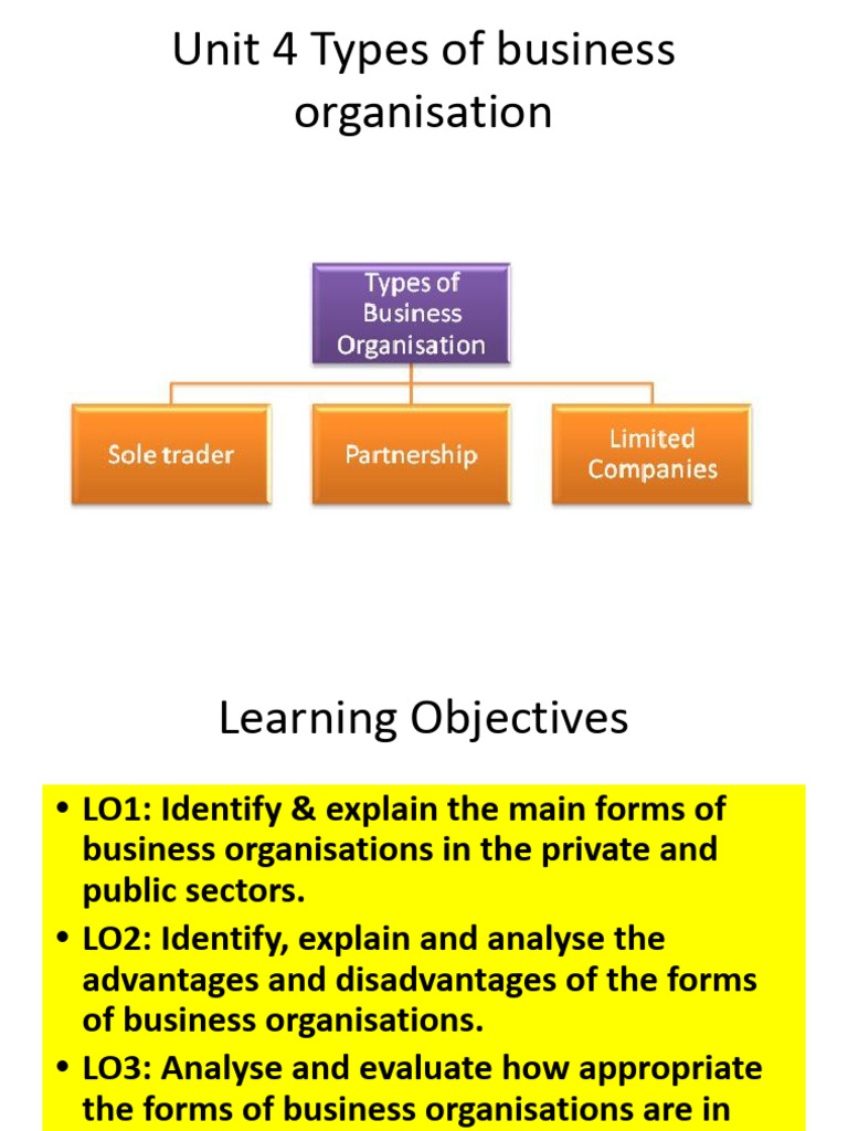 Types of Business Organizations Explained | PDF | Partnership | Franchising