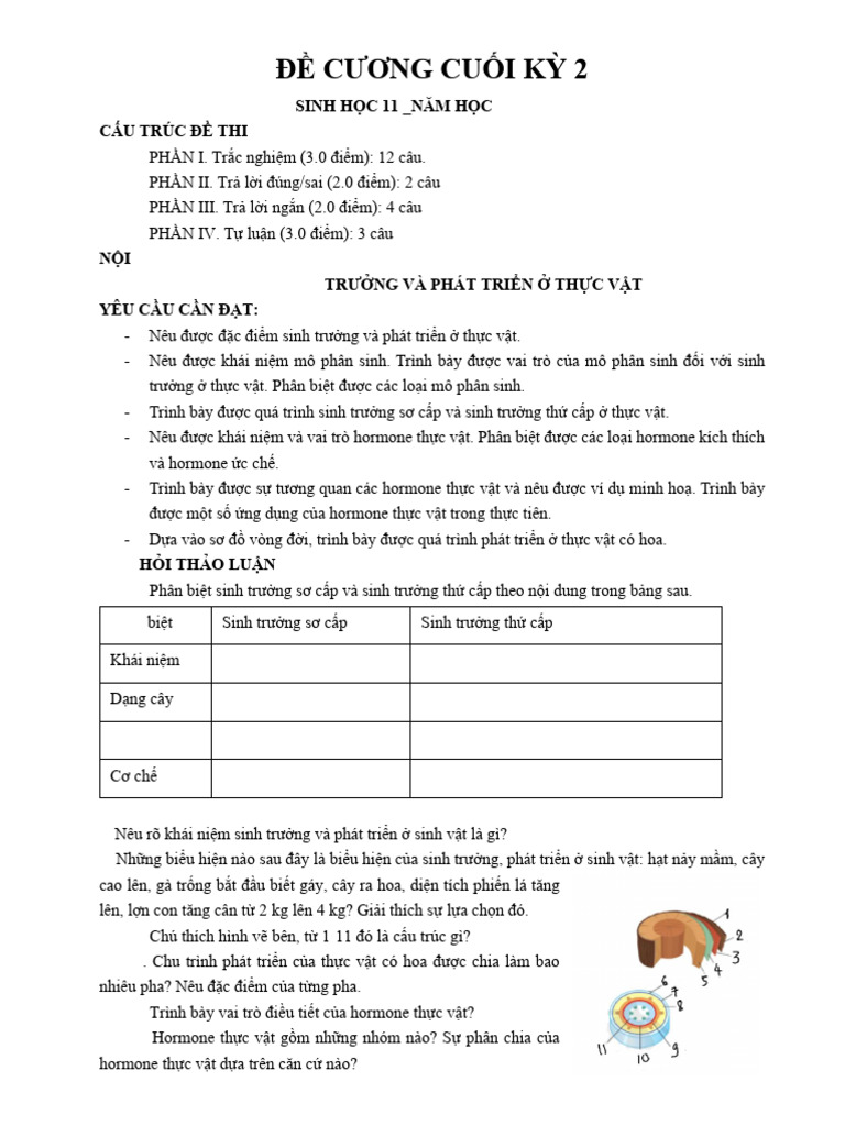 Htro CK2 - Sinh 11 2024-2025 | PDF