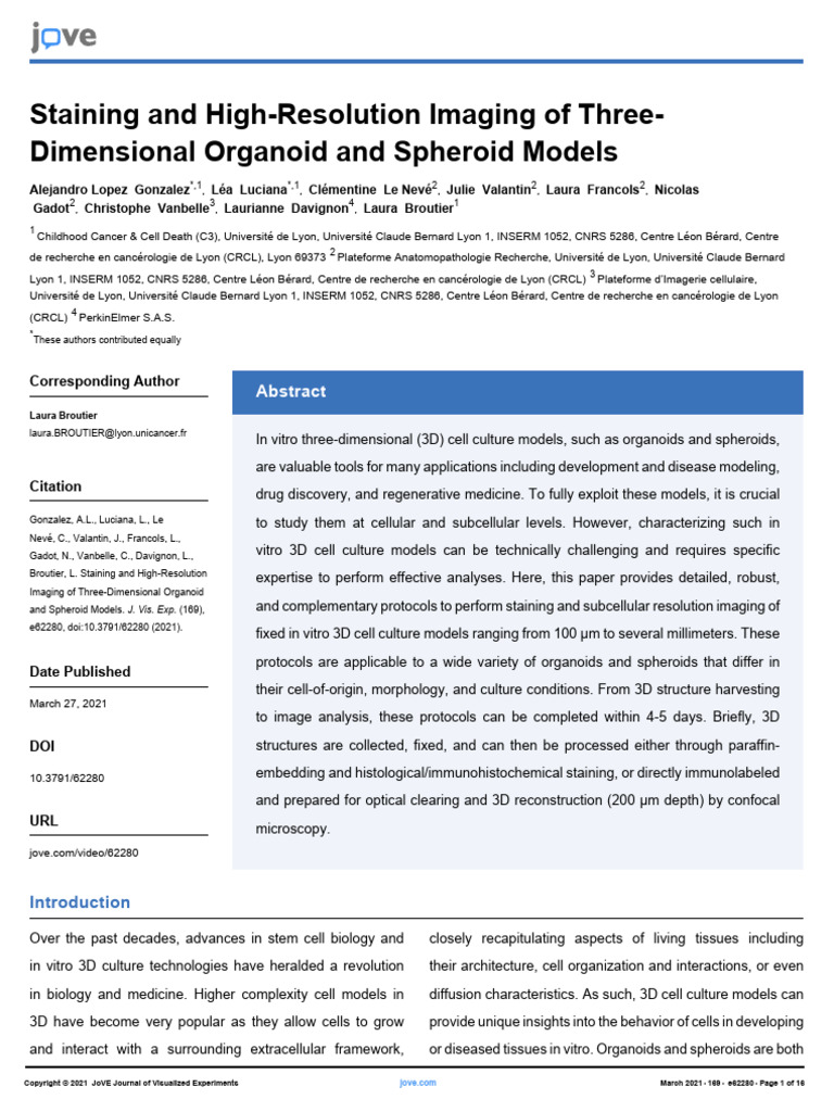 Jove Protocol 62280 Staining High Resolution Imaging Three Dimensional ...