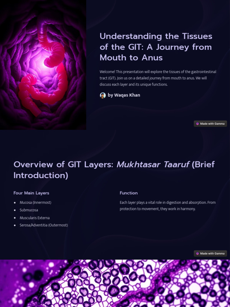 GIT Tissue Layers: Functions & Pathologies | PDF | Gastrointestinal ...