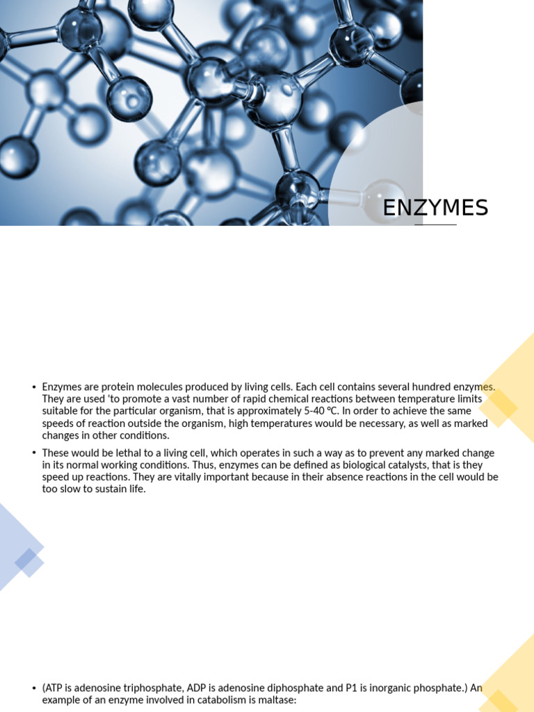 Enzymes learning easy slides | PDF | Enzyme | Active Site