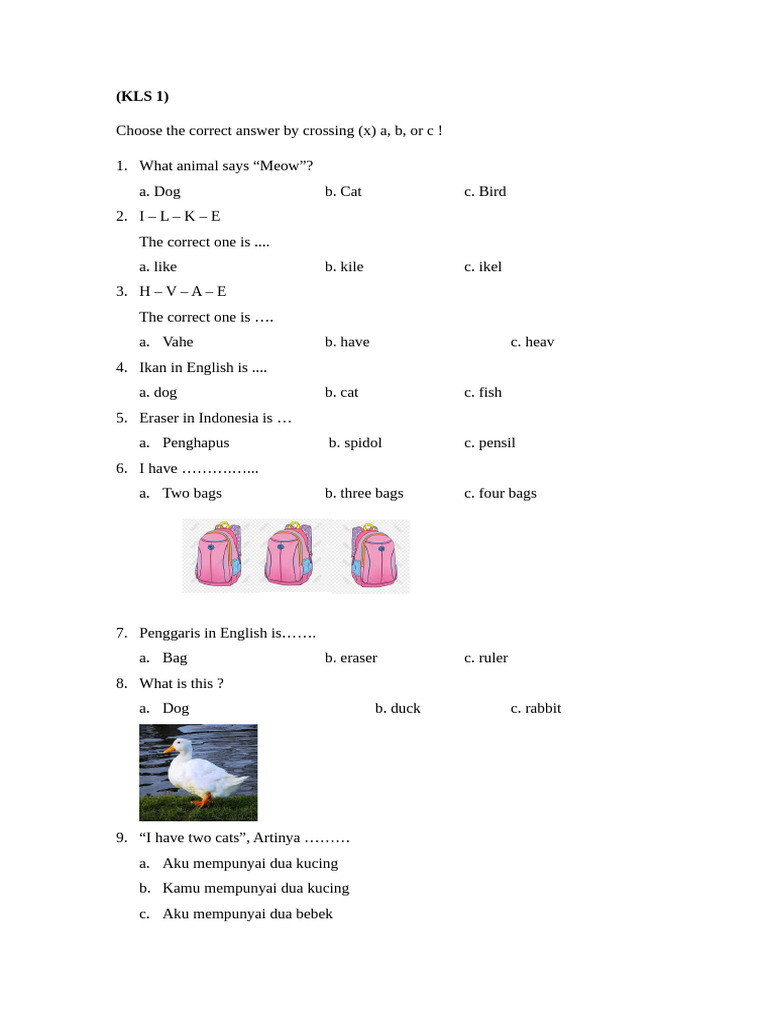 English Language Quiz for Students | PDF