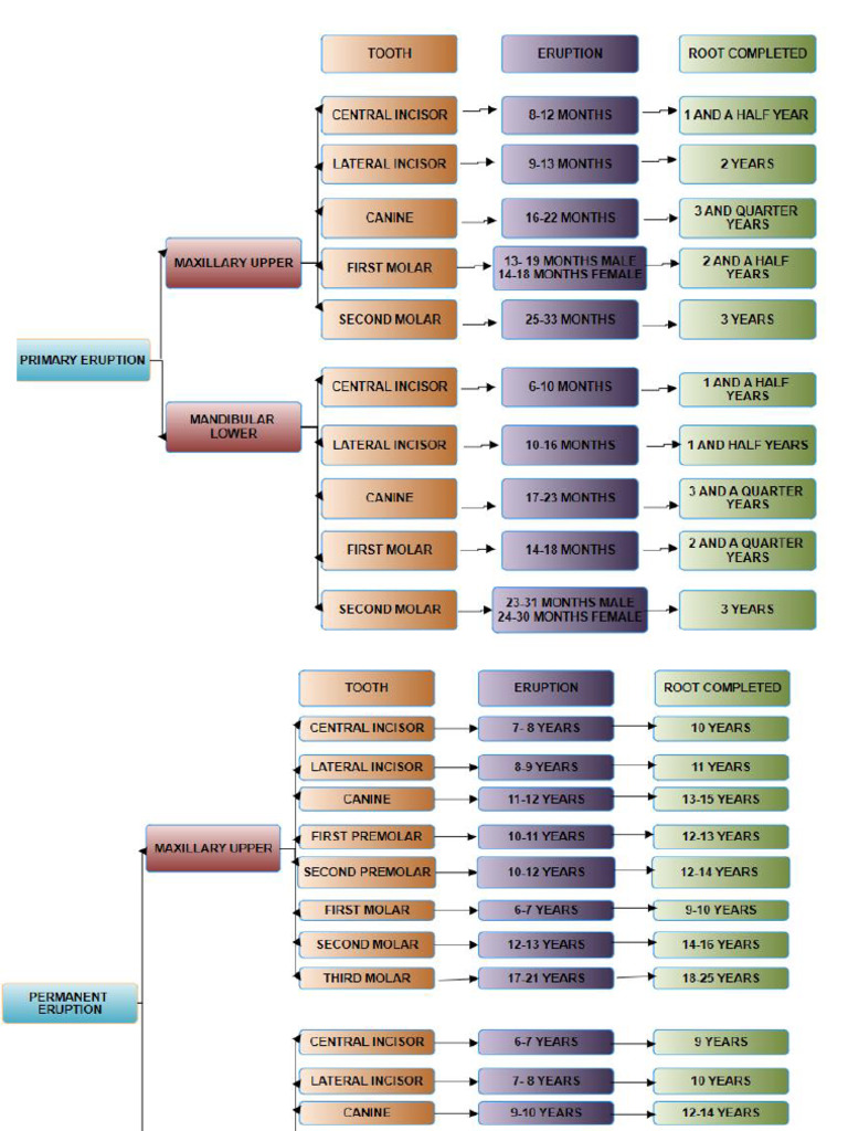 Flow Chart - Pedia | PDF