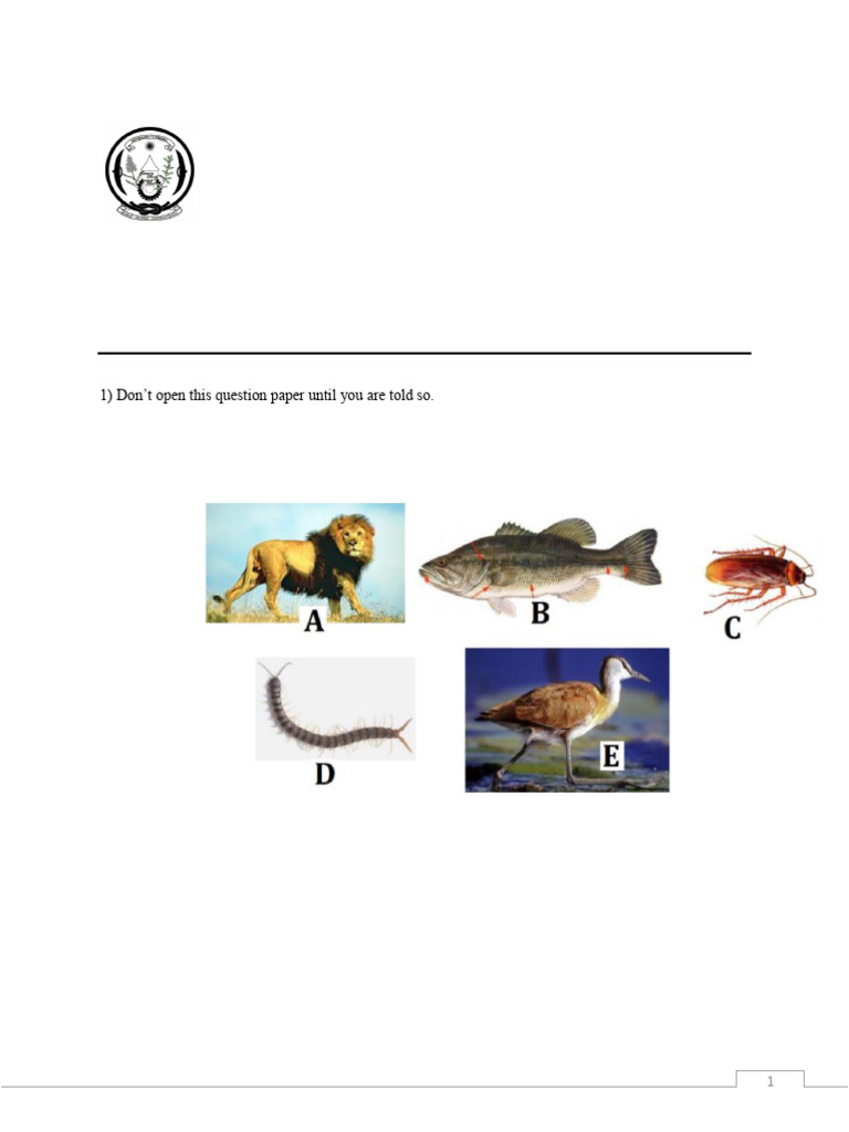 s4 Biology District Exam | PDF | Proteins | Peptide