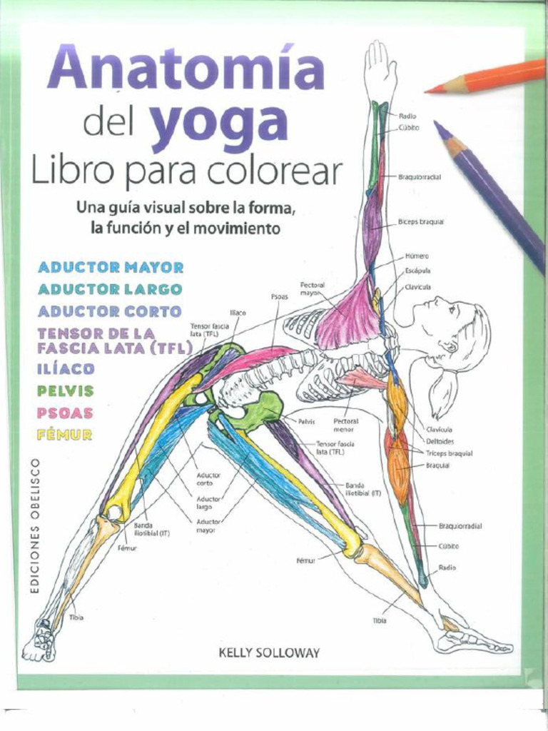 Anatomia de Yoga Compressed - Compress | PDF