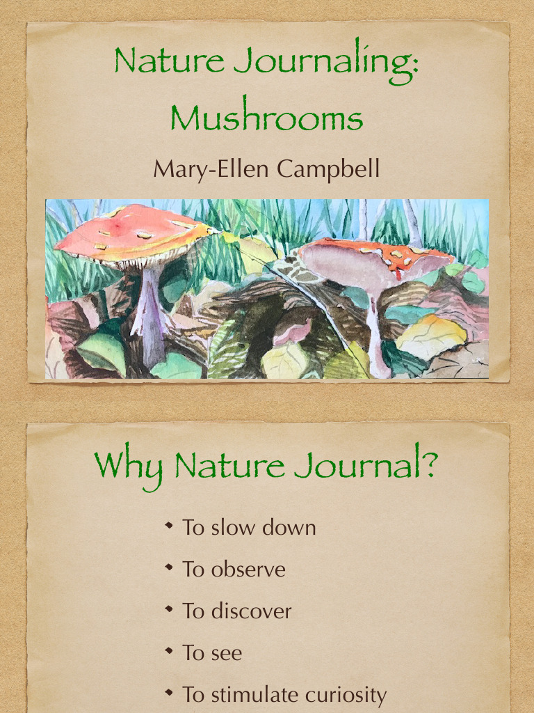 Mushroom Presentation PDF | PDF