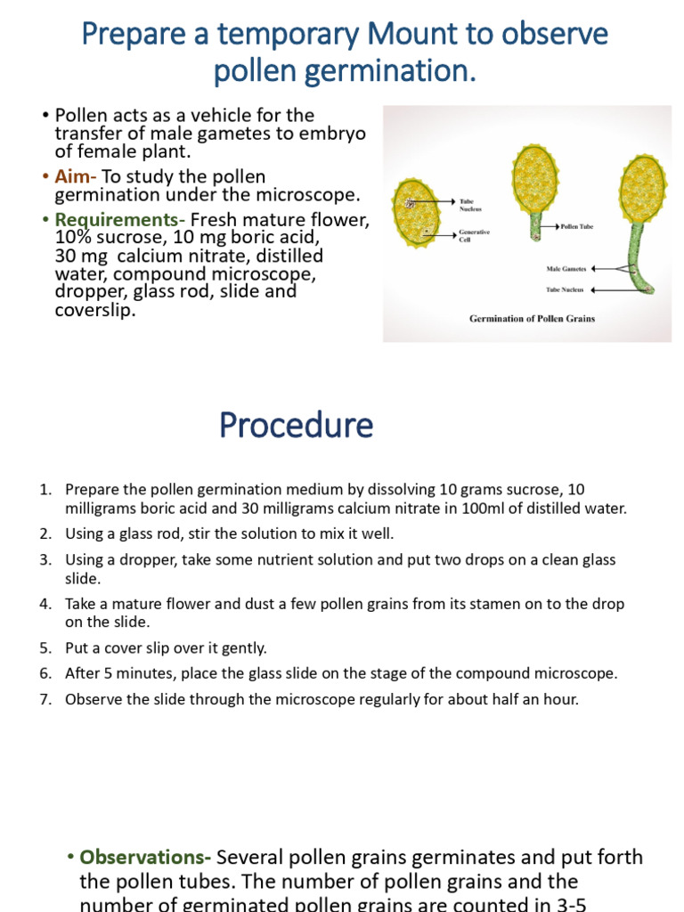 Study of Pollen Germination | PDF | Pollen | Magnesium