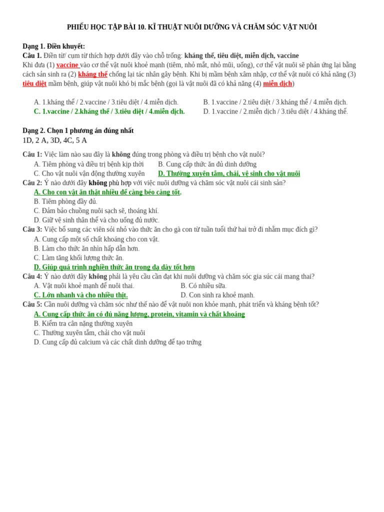 Đáp án KT PHT B 10 | PDF