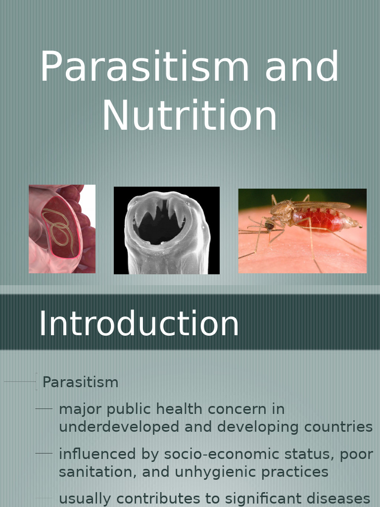Parasitism's Impact on Human Nutrition | PDF | Parasitism | Malaria