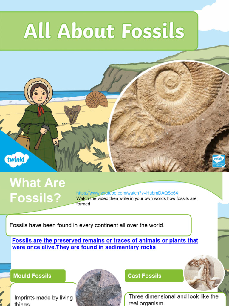 All About Fossils Powerpoint Pptx | PDF | Fossil | Rock (Geology)