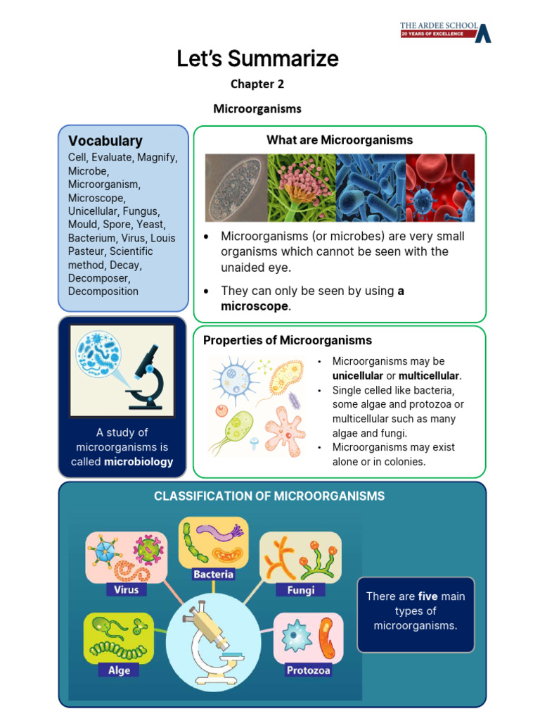 Summary - Chapter 2 - Microorganisms | PDF | Microorganism | Fungus