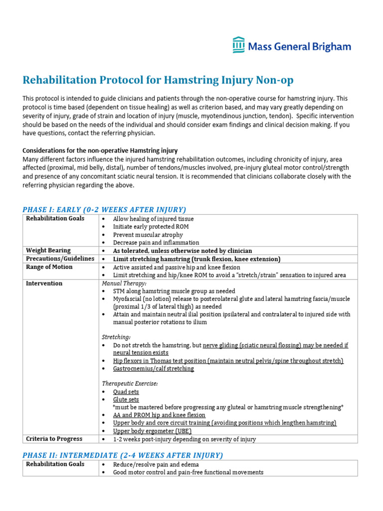 Hamstring Injury Rehabilitation Protocol | PDF | Hip | Anatomical Terms ...